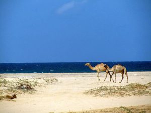 Weather Somaliland Somaliland Central